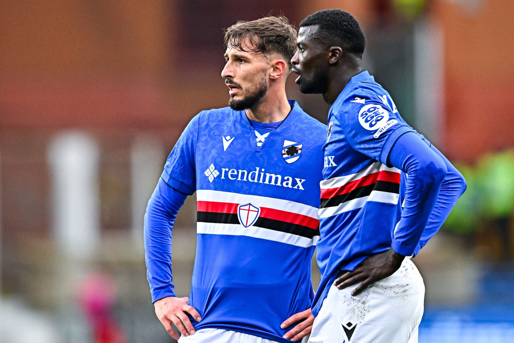 FOCUS Calciomercato Sampdoria, in attacco ora non dipende tutto solo da Massimo Coda - Club Doria 46