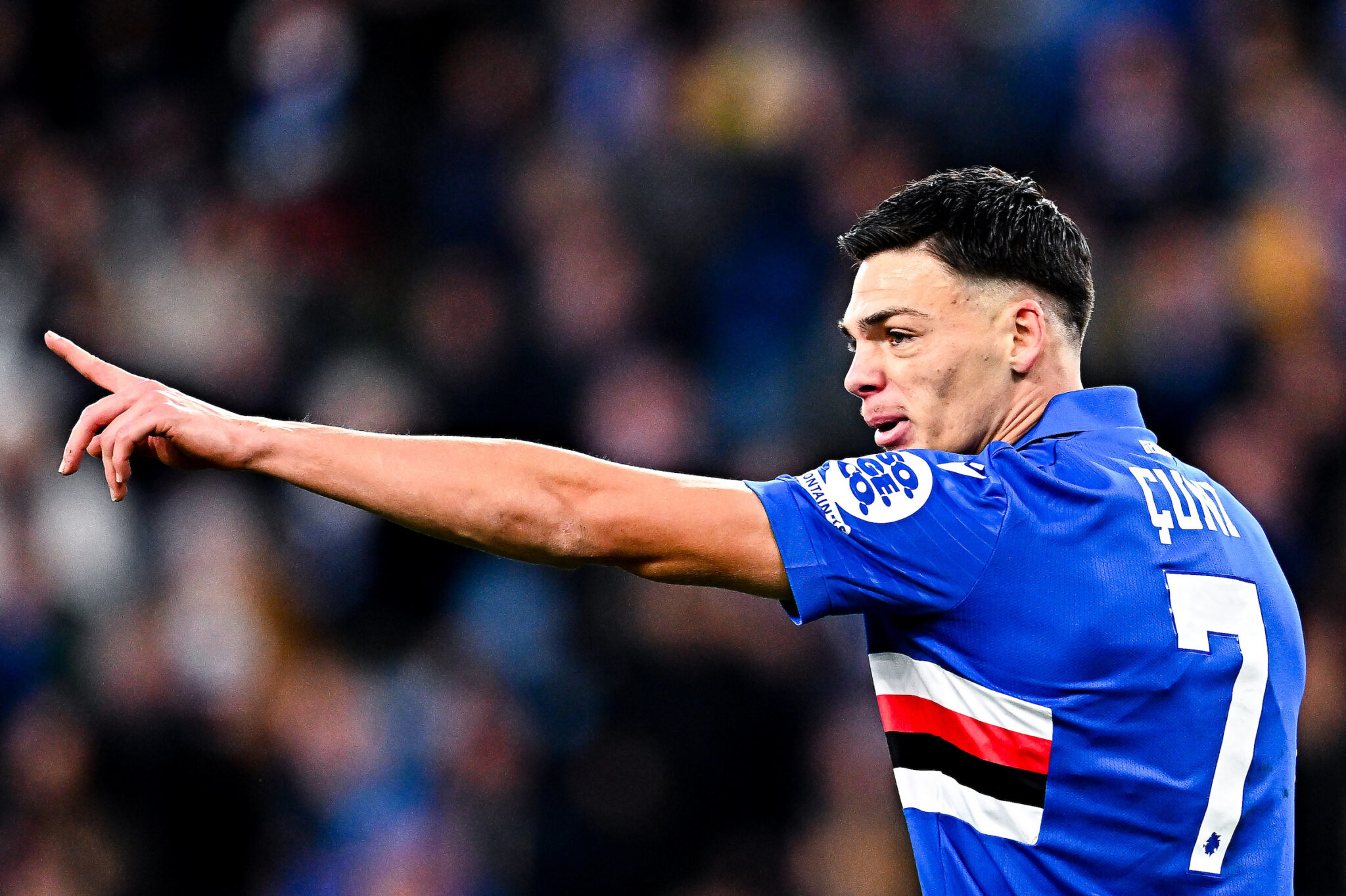 Calciomercato Sampdoria, il Bari ci prova per Marvin Cuni? Le ultime