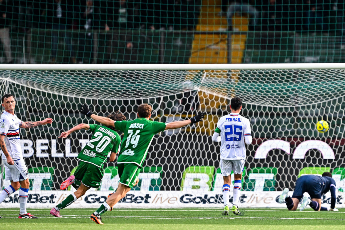 Pagelle Avellino-Sampdoria: Massimo Coda non basta mai. Simone Ghidotti è pronto per la panchina ...
